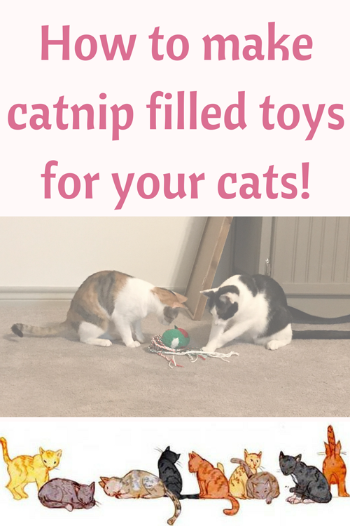 An Off Topic Craft--How To Make A Catnip Mouse — Pixie Dust Dolls